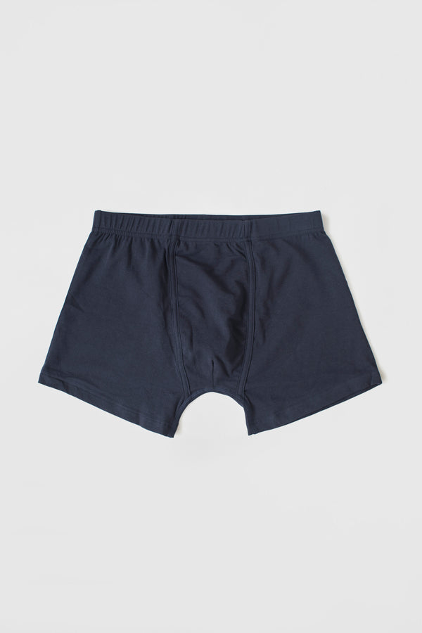 Pico | Mens Boxer Briefs | Trunks | Organic Cotton | Ondine Ash